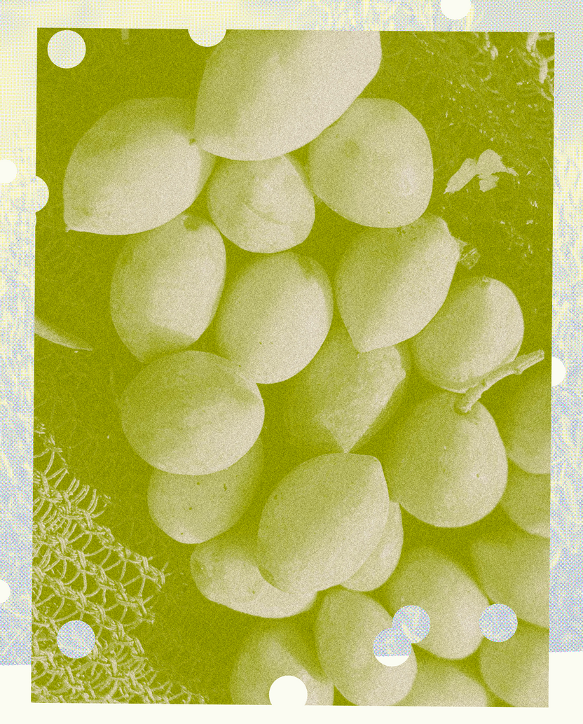 The Oil – Honest Toil